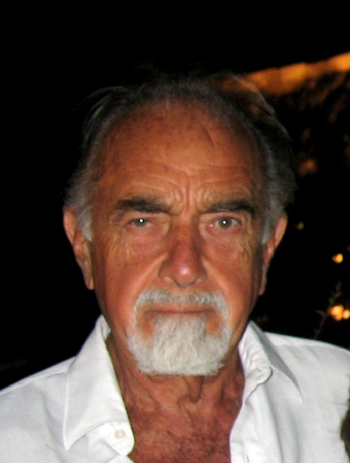 Sez ARTICOLI on line